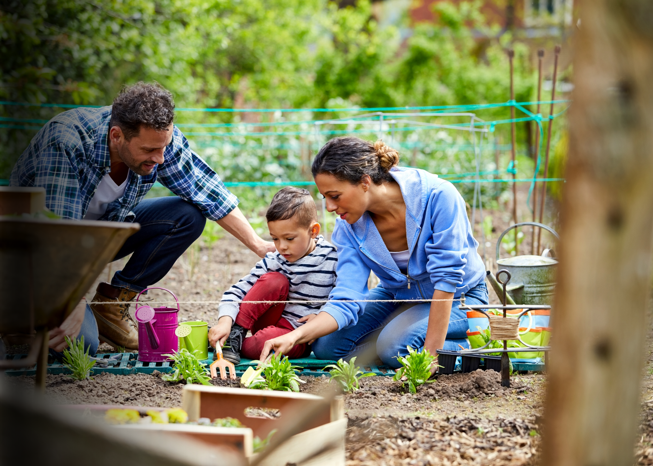 Spring into Gardening with the Best Lawn & Garden Essentials! – Shell ...