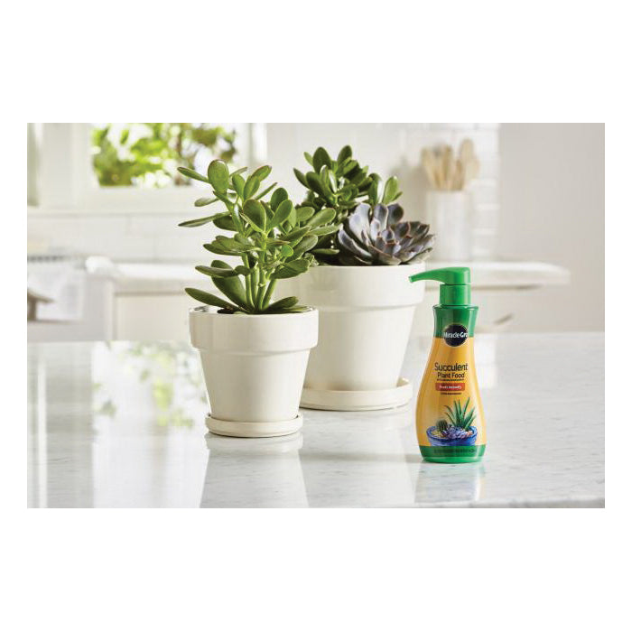 Miracle-Gro Succulent Plant Food For Cacti, Jade, Aloe 8 oz. – Shell ...