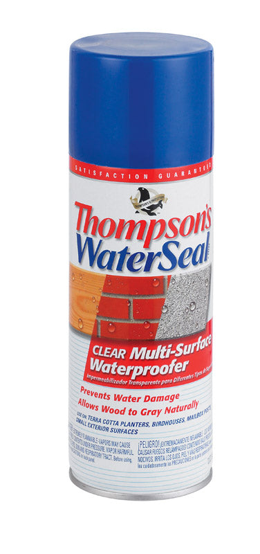 Thompson's Waterseal Clear Water-Based Multi-Surface Waterproofer 12 o ...