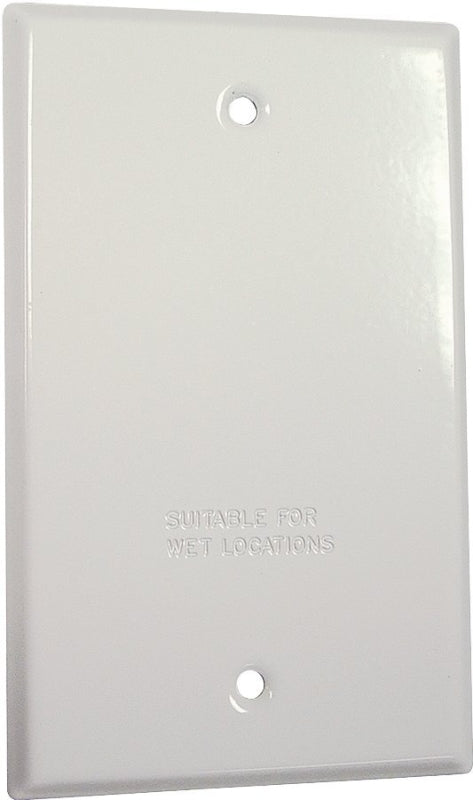 Hubbell 5173-6 Cover, Blank, Flat, 4-17/32 in L, 2-25/32 in W, 1-Gang ...