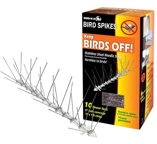 Bird-X STS-10-R Bird Spike Kit, 10 ft Coverage, 4-1/2 in W – Shell ...