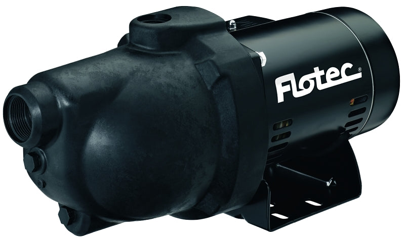 Flotec FP4032 Jet Pump, 9.6/19.2 A, 115/230 V, 1 hp, 1-1/4 in Suction ...