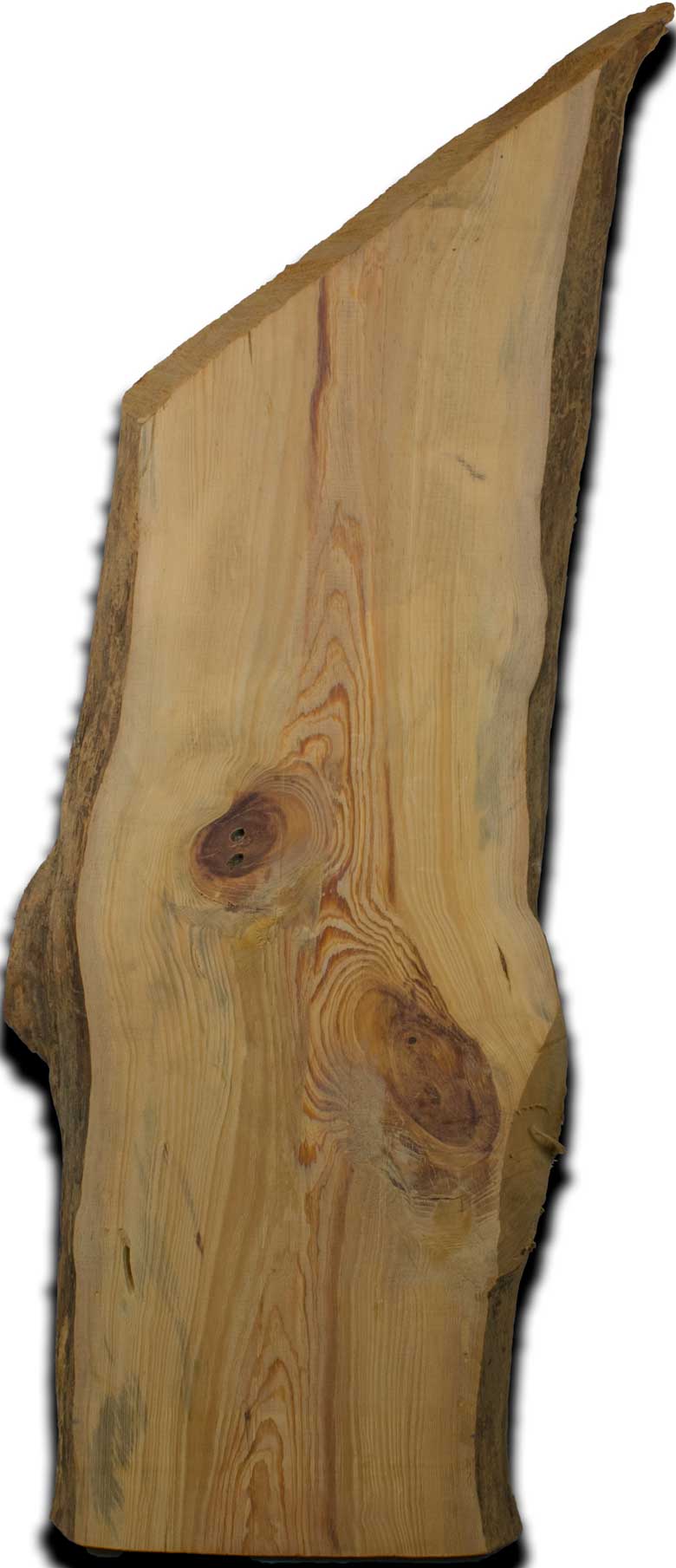 Dade County Pine Live Edge Wood Slab 3 In. x 14 In. x 36 In. – Shell ...