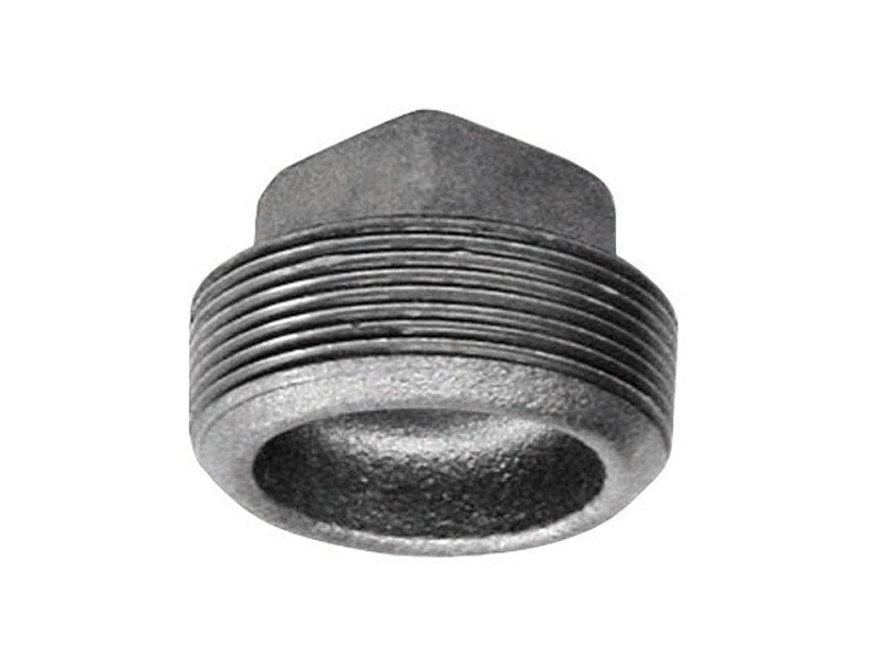Anvil 1 in. Dia. MPT Galvanized Malleable Iron Plug – Shell Lumber and ...