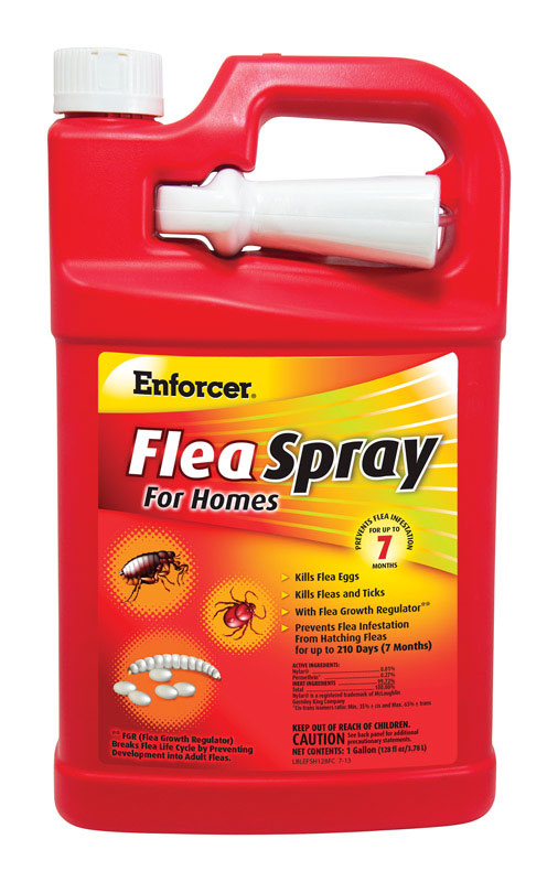 Enforcer Flea Spray for Homes Insect Killer For Fleas and Ticks 1 gal ...