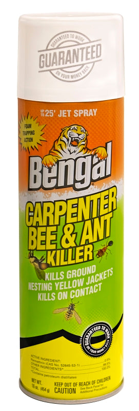 Bengal 97199 Carpenter Bee and Ant Killer, Spray Application, 16 oz ...