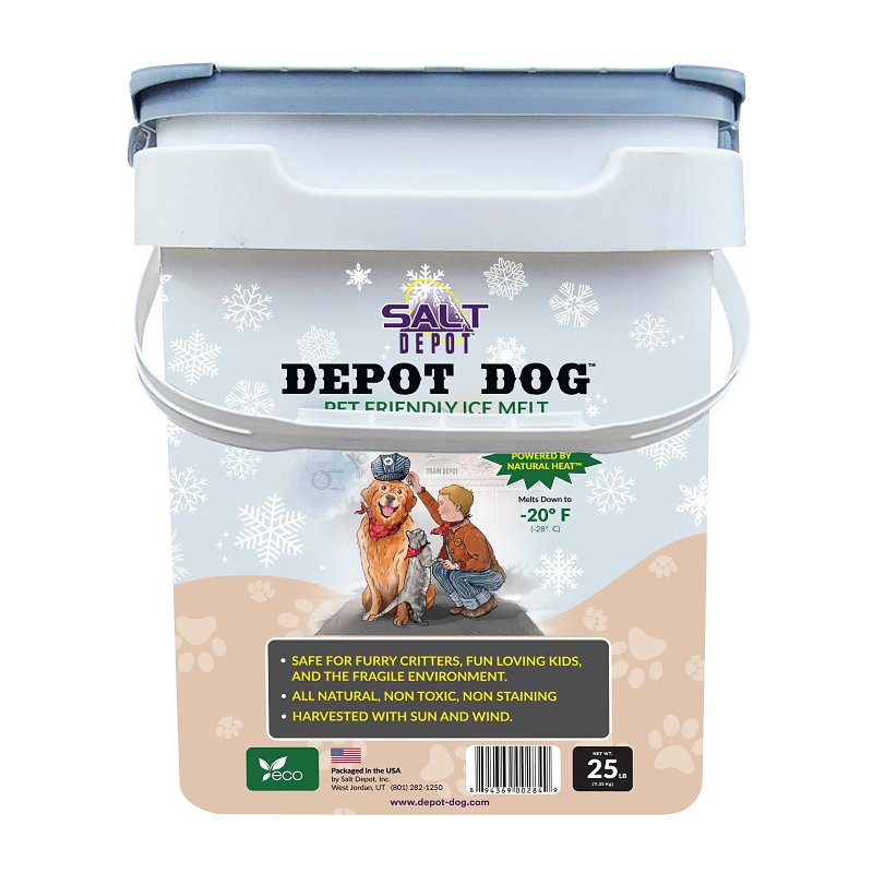 Salt Depot DD25P Ice Melt, Crystalline, White, 25 lb Pail – Shell ...