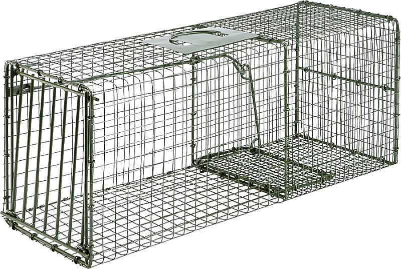 Duke Traps 1112 Cage Trap, 30 in L, 12 in W, 12 in H – Shell Lumber and ...