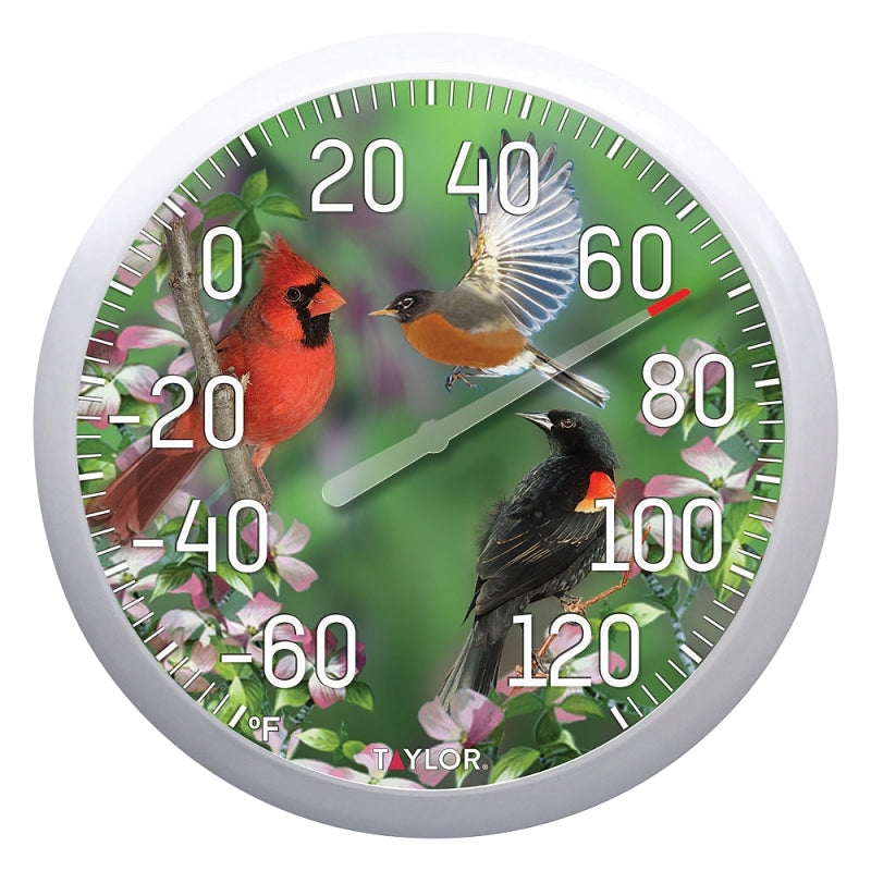 Taylor 6774 Bird Thermometer, Multi-Color Casing – Shell Lumber and ...