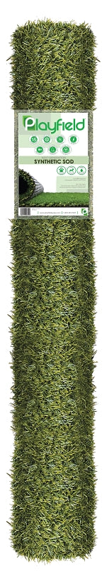 Natco PRT2236-5X7 Series Artificial Grass Rug, 7 ft L x 5 ft W Dimensi ...